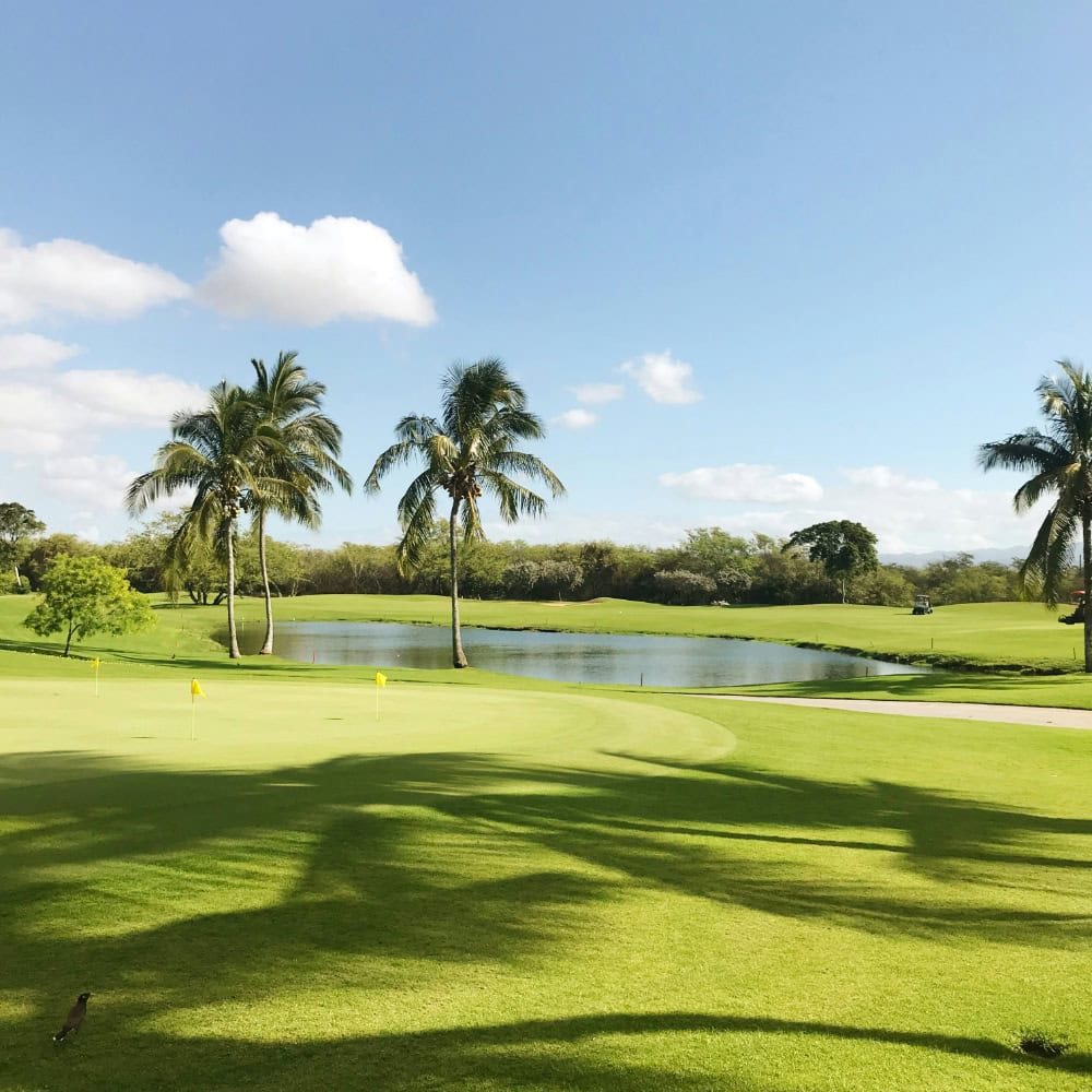 Developing Youth Leaders Through Golf | Indian River Golf Foundation